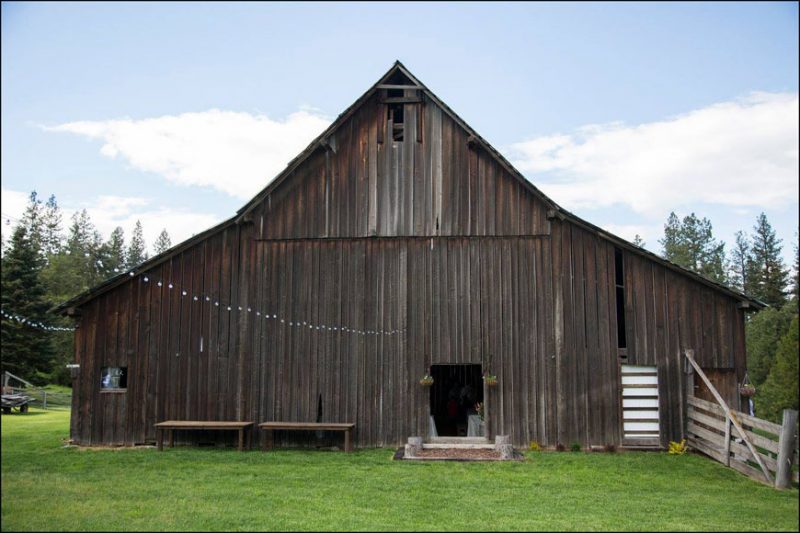 Rustic Barn Wedding - Flower and Stem